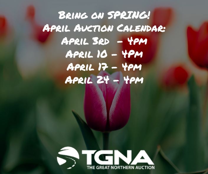 TGNA | The Great Northern Auction